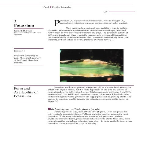 Potassium 1 | PDF