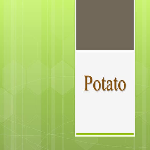 Potato | PPTX | Gardening | Home & Garden