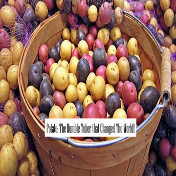 Potato: The Humble Tuber that changed the World | PDF