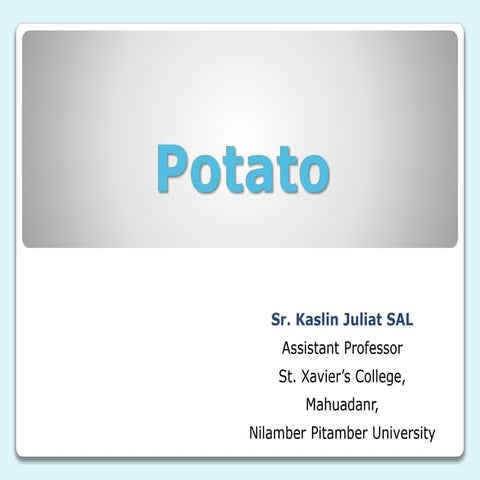 Potato | PPTX | Gardening | Home & Garden