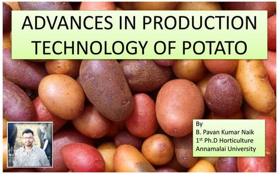 PRODUCTION TECHNOLOGY OF POTATO | DOCX | Agriculture | Industries