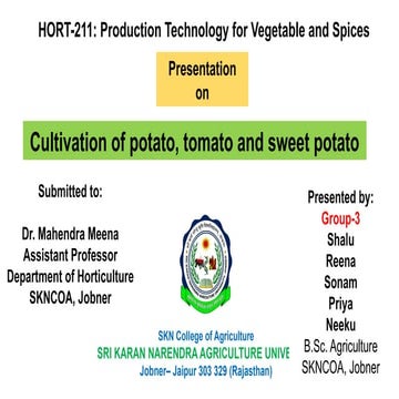 Potato ppt , potato vegetable presentation free , potata presentation ...