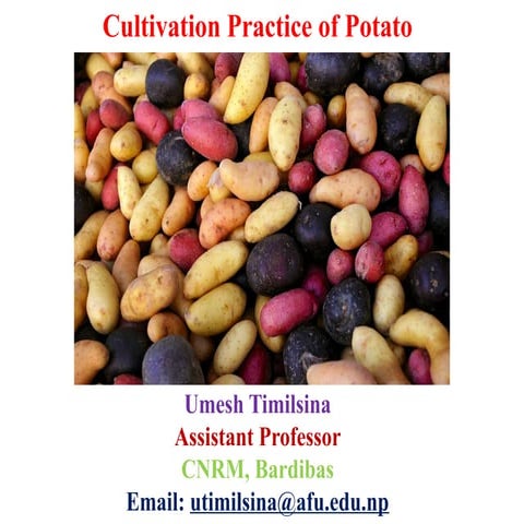 Fun and Engaging Education Resources for Kids Learning From WiseCroc ...