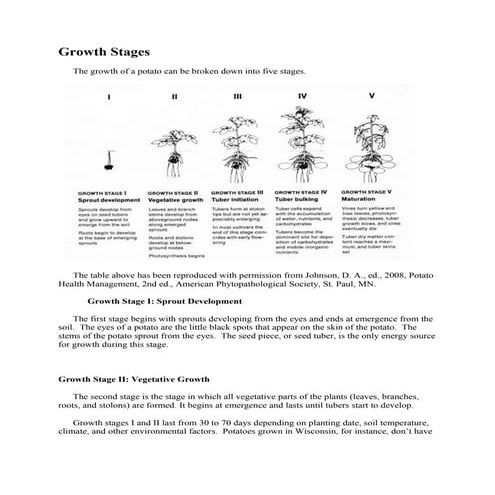 Important Solanaceae crops | PPT
