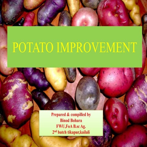 POTATO IMPROVEMENT in nepal .pptx