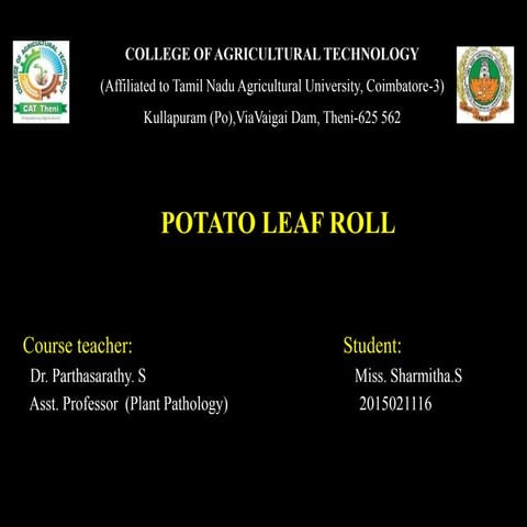 Potato leaf roll | PPTX