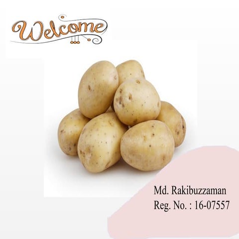 Trchoderma on Potato Tuber yield presentation.pptx