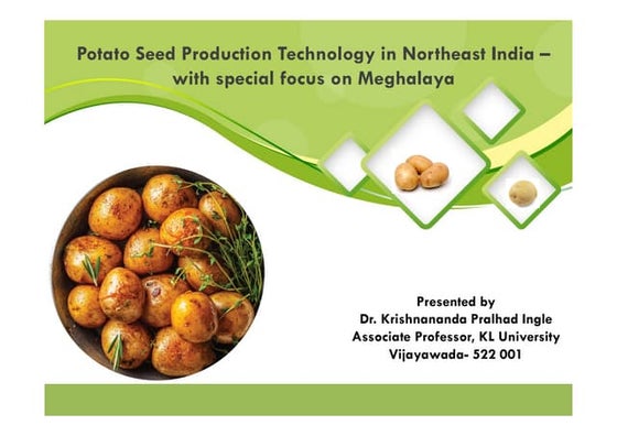 Seed plot technique in Potato | PPTX | Agriculture | Industries