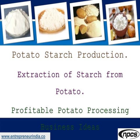 Potato Starch Production | PPTX