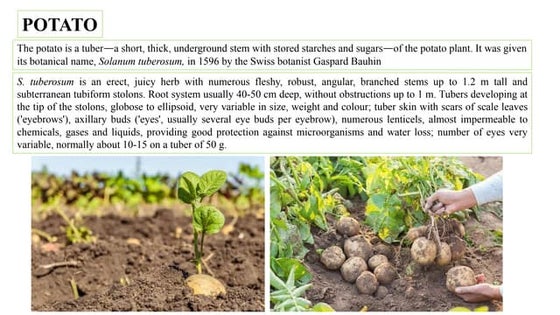Floral biology of garlic and onion | PPT