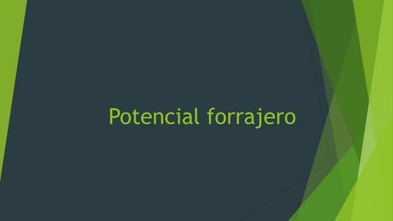 utilizacion eficiente de los forrages | DOC | Agriculture | Industries