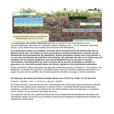 Potencial Redox Del Suelopdf