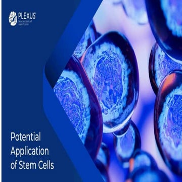 Potential Application of Stem Cells - PPT - November 2023.pptx