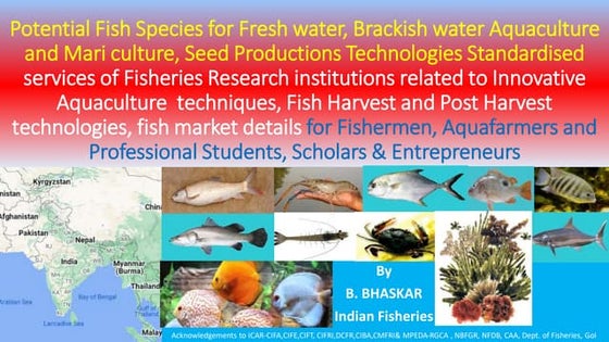 Major Aquatic Mammals and their importance by B.pptx