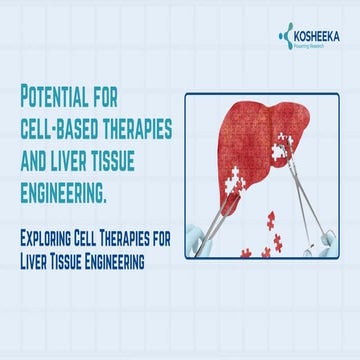 Potential for cell-based therapies and liver tissue engineering | PDF