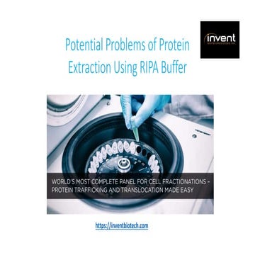Potential problems of protein extraction using ripa buffer - Invent ...