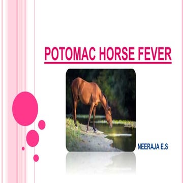 Potomac horse fever | PPTX