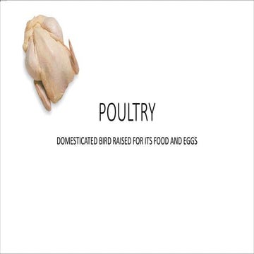 Poultry | PPTX