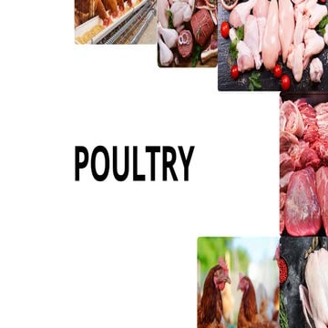Basics pf poultry production in Kitchen essentials | PPTX