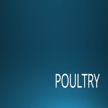 POULTRY.pptx SHS GROUP PRESENTATION GRADES | PPTX