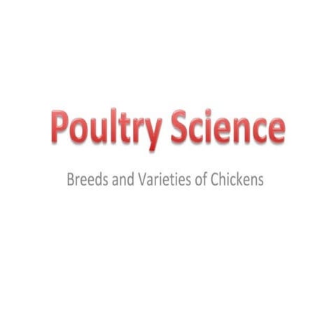 Poultrydgg gggggg ghgghghhhhggghghghhh.pptx