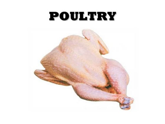 Different Cuts of Poultry | PPTX | Barbecues and Grilling | Food & Drink