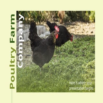 poultry-farm-company.training powerpoint | PPTX