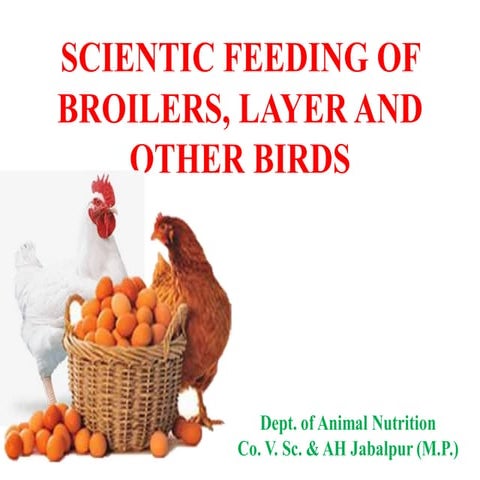 Types and forms of feed and feeding methods in poultry | PPTX