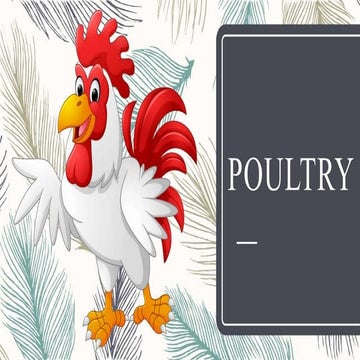 TLE Cookery 10 - Poultry and Game, variety | PPTX