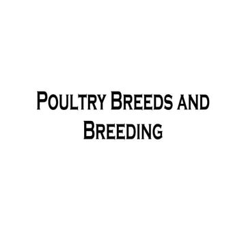 Poultry Breeds and Breeding (1).....pptx
