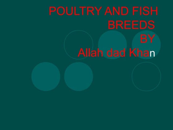 Lecture 5 breeds of poultry | PPTX | Birds | Pets