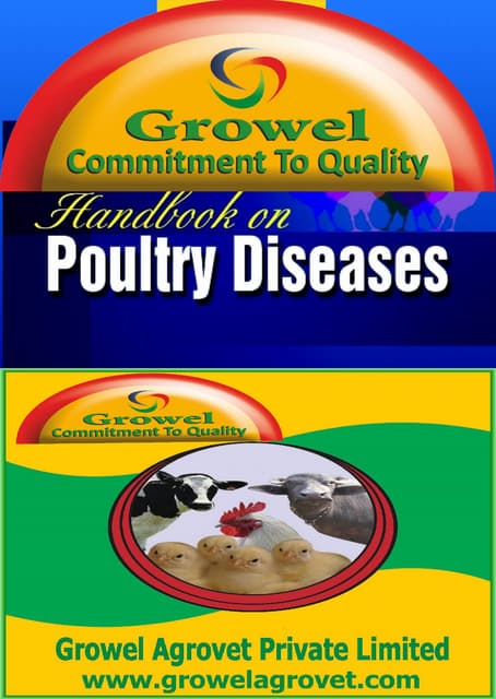 Beginners Guide to Layer Poultry Farming | PDF | Birds | Pets