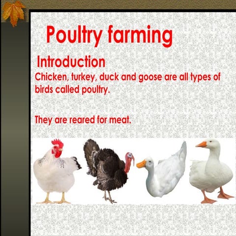 Poultry farming Shared By Abdul Qahar | PPT