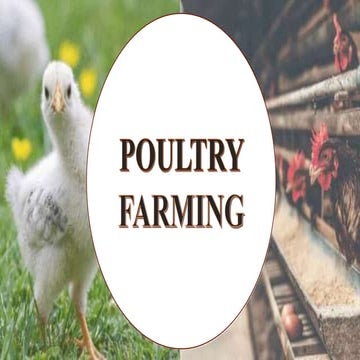 poultry_farming_.....final presentation.pptx