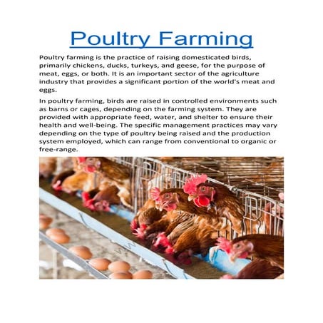 best Poultry Farming in lucknow | PDF