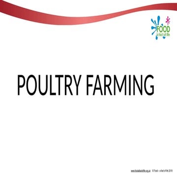 Poultry Farming Practices In India Pptx