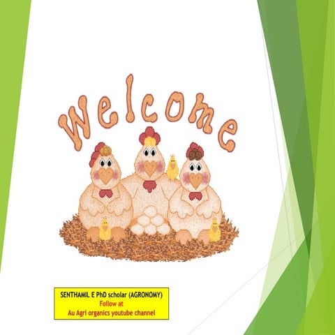 POULTRY FARM PROJECT.pdf