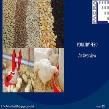 Poultry feed - PACRA Research - Jan'21_1611063023.pdf