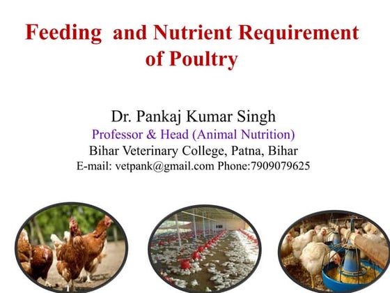 Poultry Feed formulation | PPT | Pet Supplies | Pets