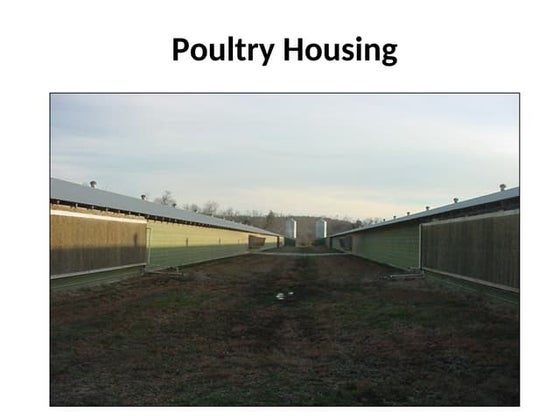 Demonstration of housing and layout plans for poultry [autosaved] | PPTX