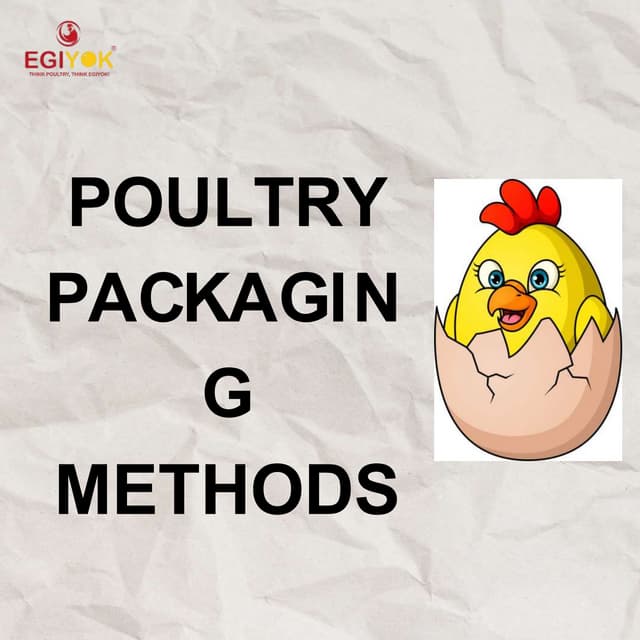 POULTRY PACKAGING METHODS | PPTX