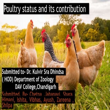 Good Animal Husbandry. Certified Program | PDF