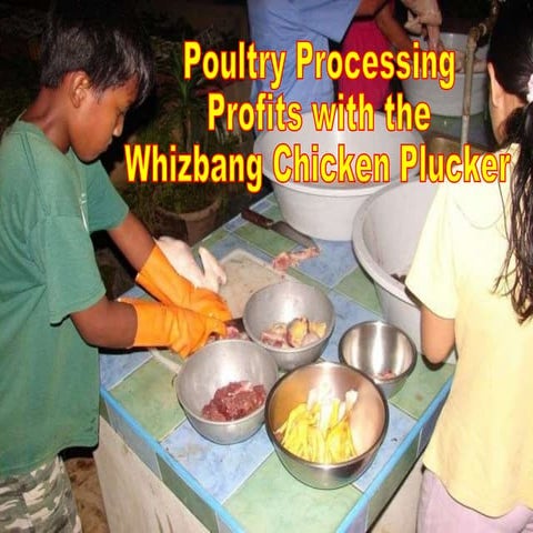 Poultry processing | PPT