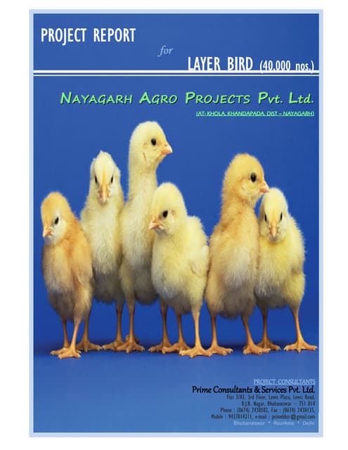 BUSINESS PLAN FOR A POULTRY FARM INVESTMENT | DOC