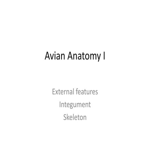 Avian skeletal system | PDF