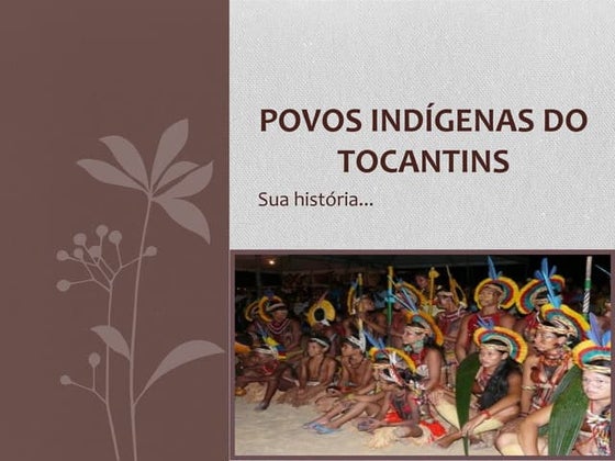 Resumo História e Geografia do Tocantins | PDF