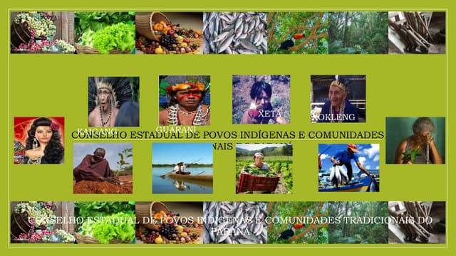 Povos IndÍgenas E Comunidades Tradicionais Do ParanÁ Ppt