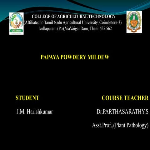 Powdery mildew of papaya | PPTX