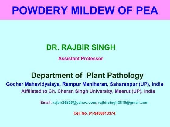 Czembor J H Barley Powdery Mildew 8 | PDF