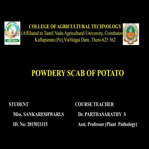 Powdery scab of potato | PPTX